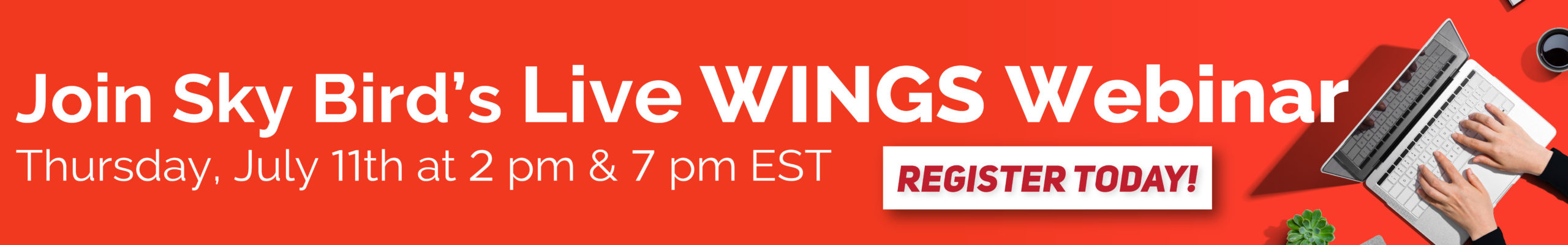 Sky Bird Travel - #1 Airline Consolidator to Book Airfare